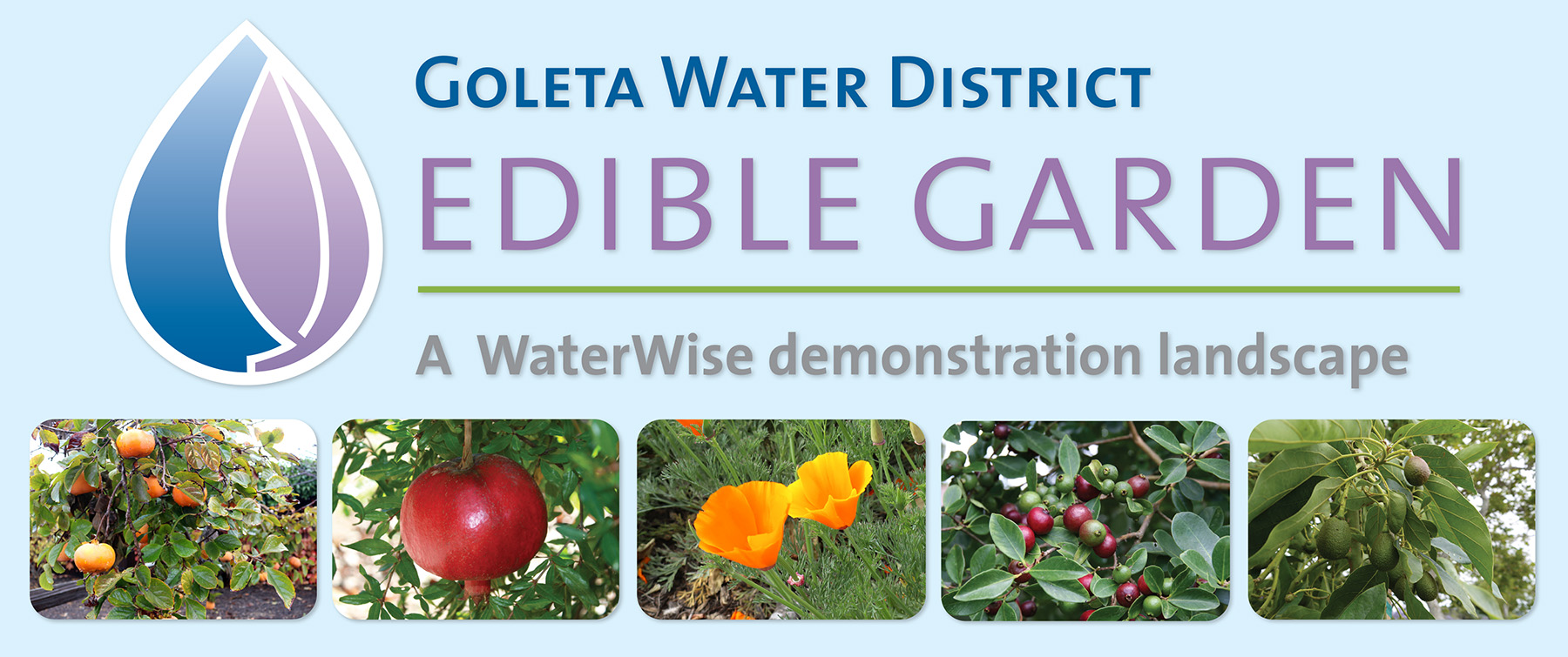 Edible Garden - Goleta Water District