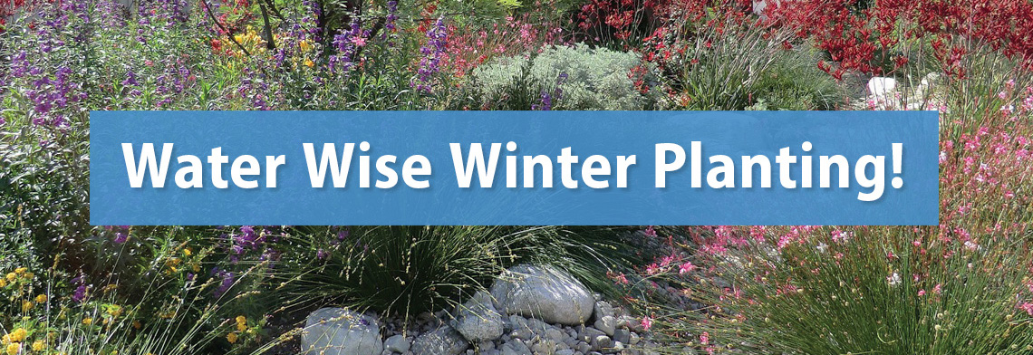 Water Wise Winter Planting! - Goleta Water District